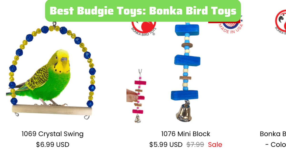 Best Budgie Toys That Will Keep Your Bird Happy