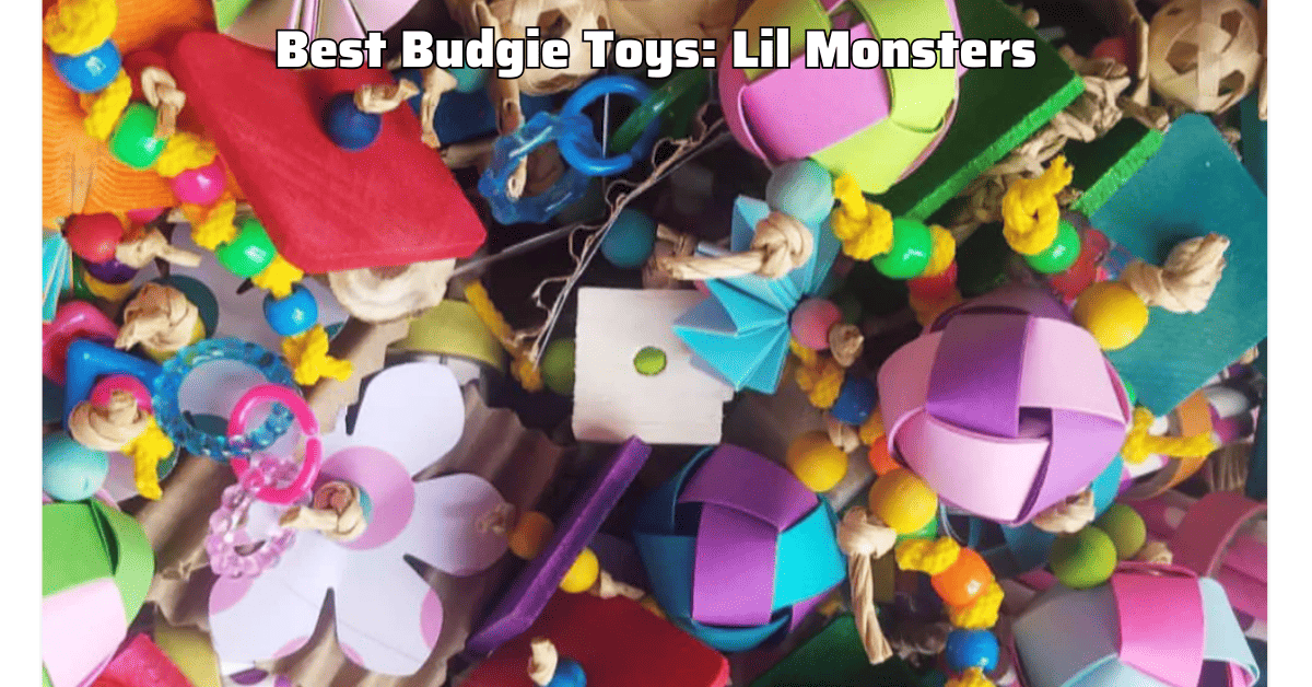 Best Budgie Toys That Will Keep Your Bird Happy