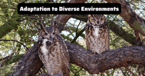 21 Great Horned Owl Facts for Kids: Amazing Birds | Birdy