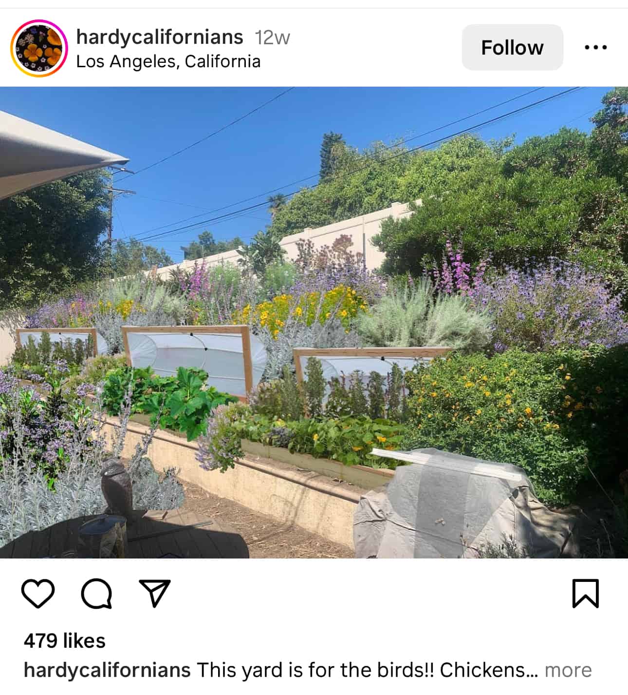 Backyard Bird Habitat Ideas: Create a Bird Friendly Haven