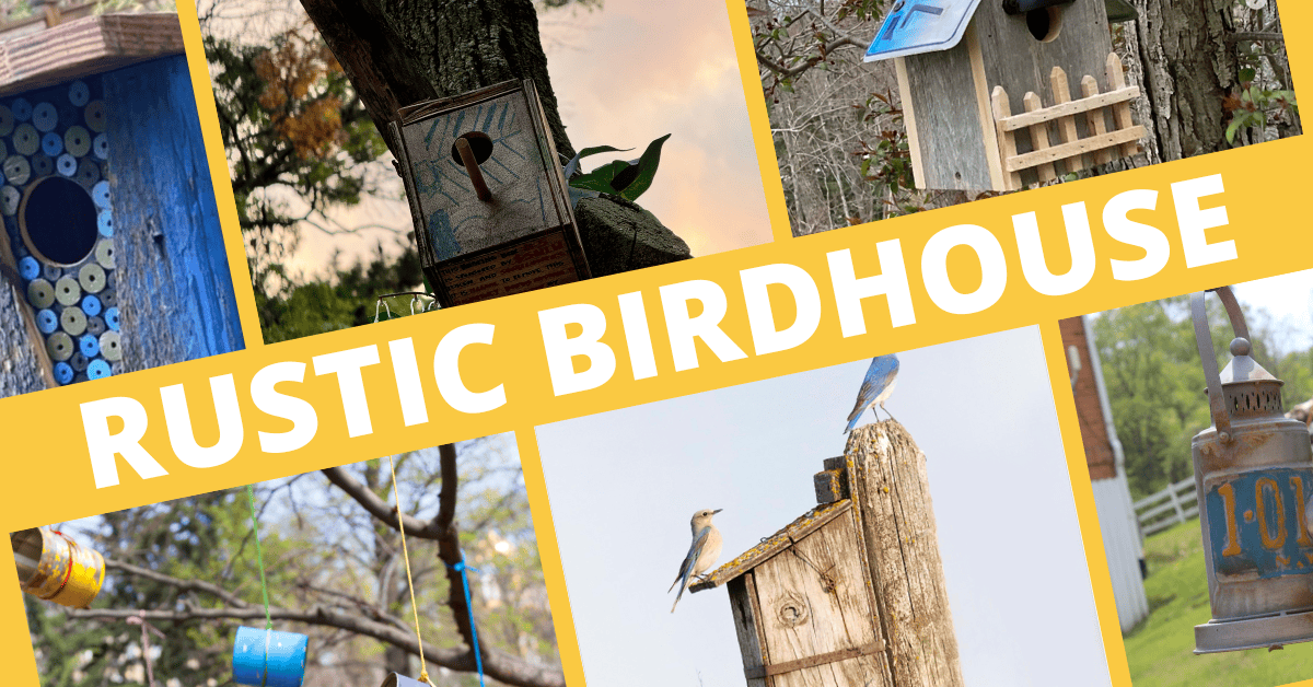 Rustic Birdhouse Ideas: Cute Spots for Backyard Birds