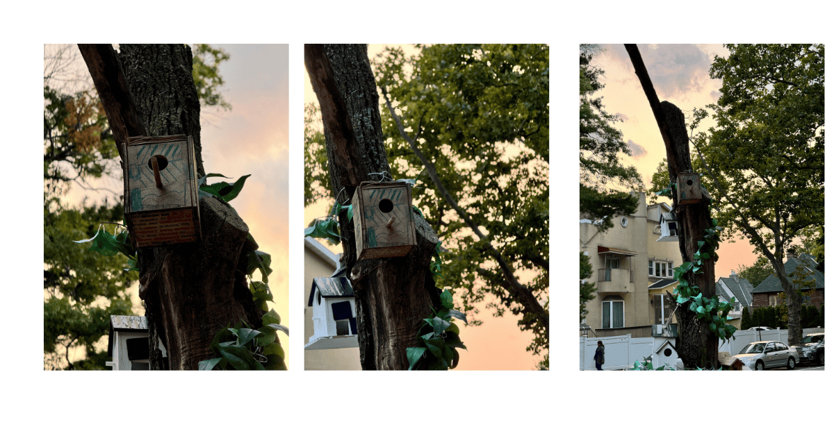 Rustic Birdhouse Ideas: Cute Spots for Backyard Birds