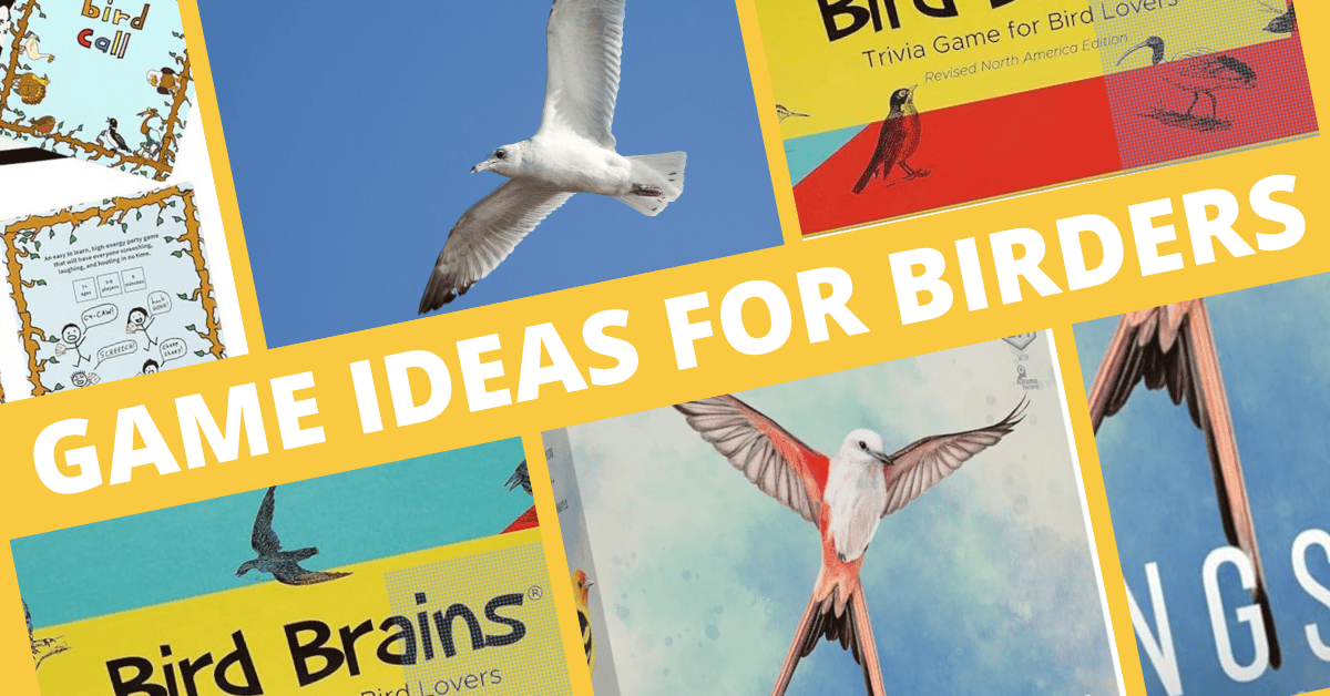 Games for Bird Lovers: Gift Ideas for Birders