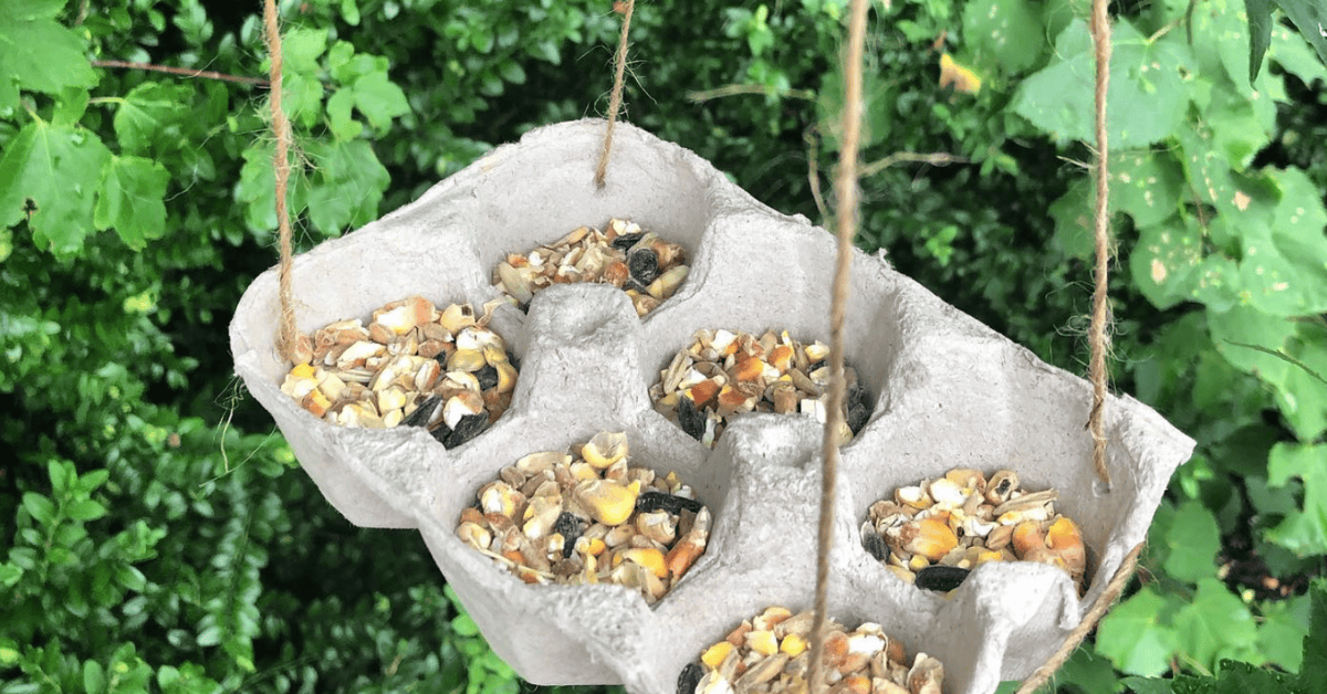 DIY Bird Feeding Station Ideas