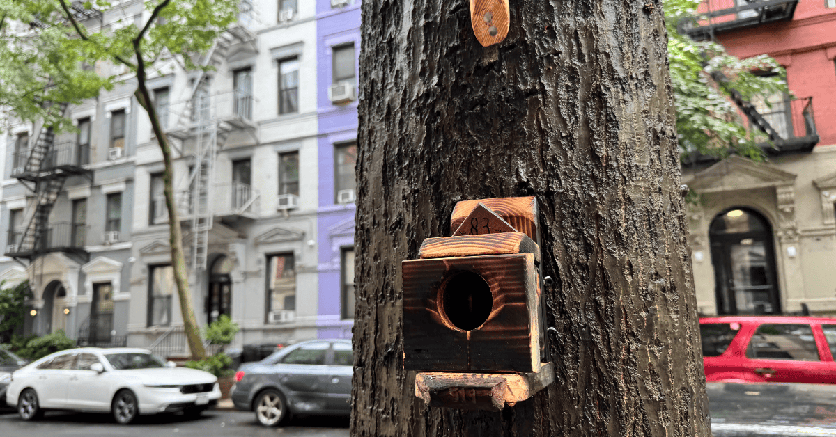 10 Natural Birdhouse Ideas with Examples!