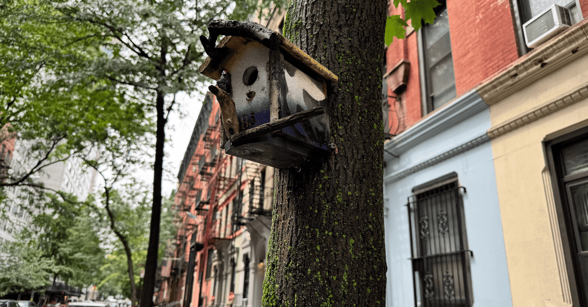 10 Natural Birdhouse Ideas with Examples!