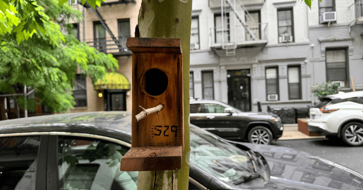 10 Natural Birdhouse Ideas with Examples!